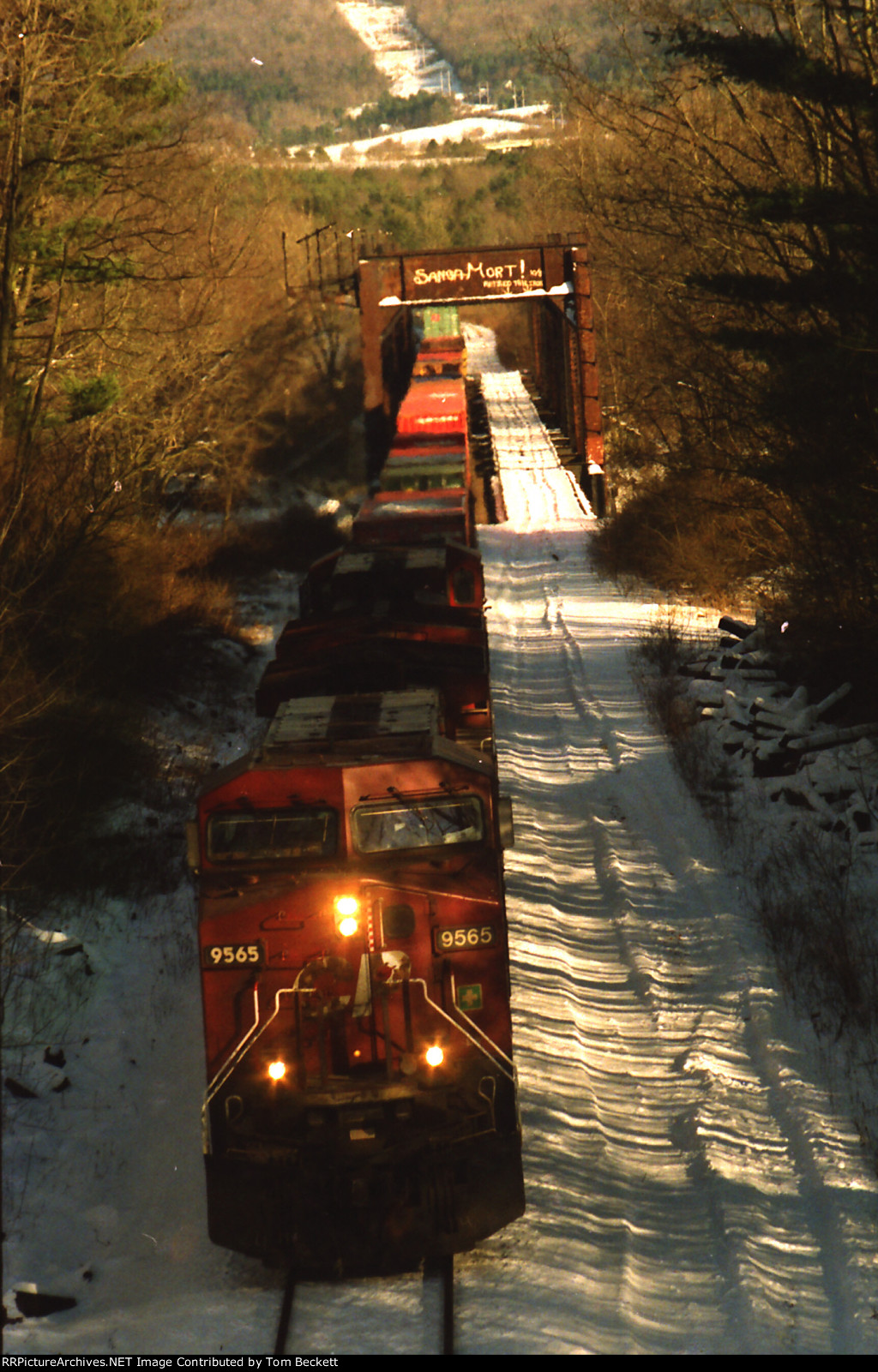 Off the bridge, into the shadows
